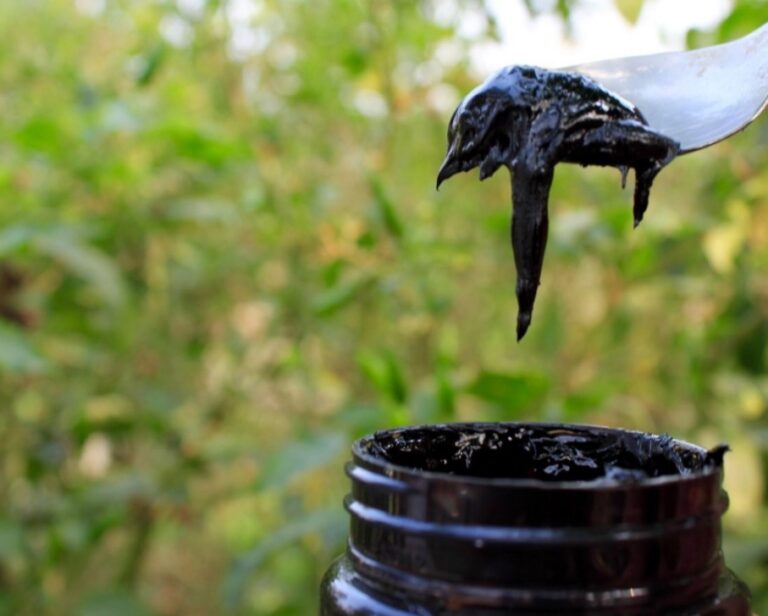 Gilgit Baltistan Orignal Shilajit only on gbdryfruitsupplier.pk